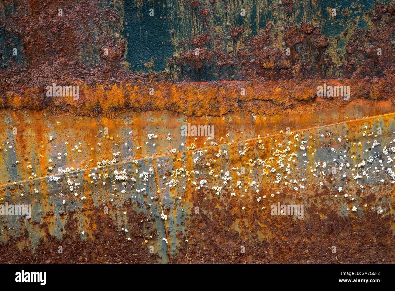 Ship hull barnacles hi-res stock photography and images - Alamy