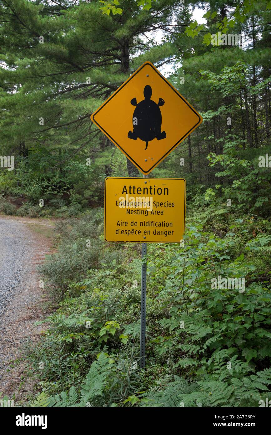 Warning sign on the way, Attention turtles, Kejimkujik National Park ...