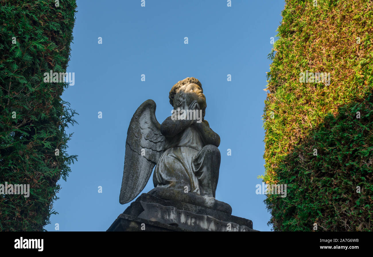 Illuminated angel statue looking up to the sky Stock Photo - Alamy