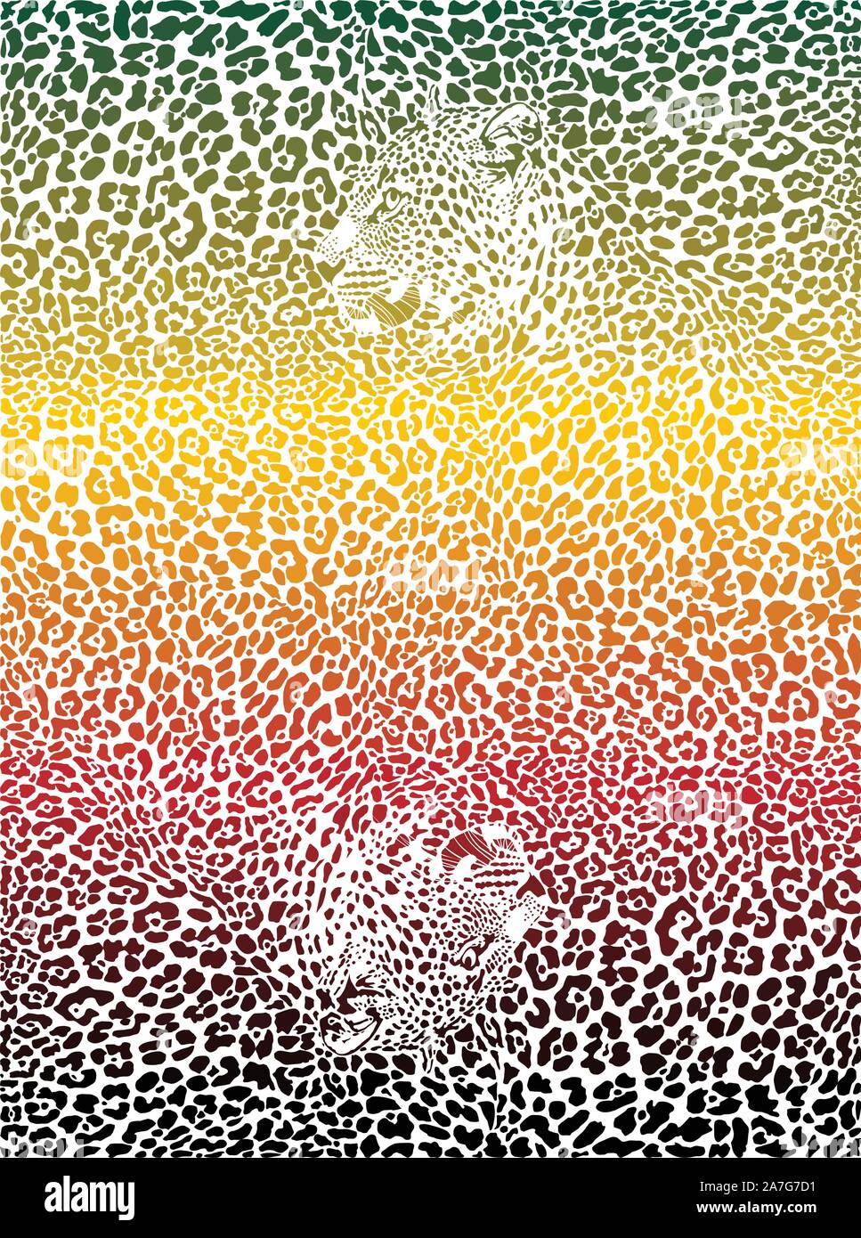 Leopards skin hi-res stock photography and images - Alamy