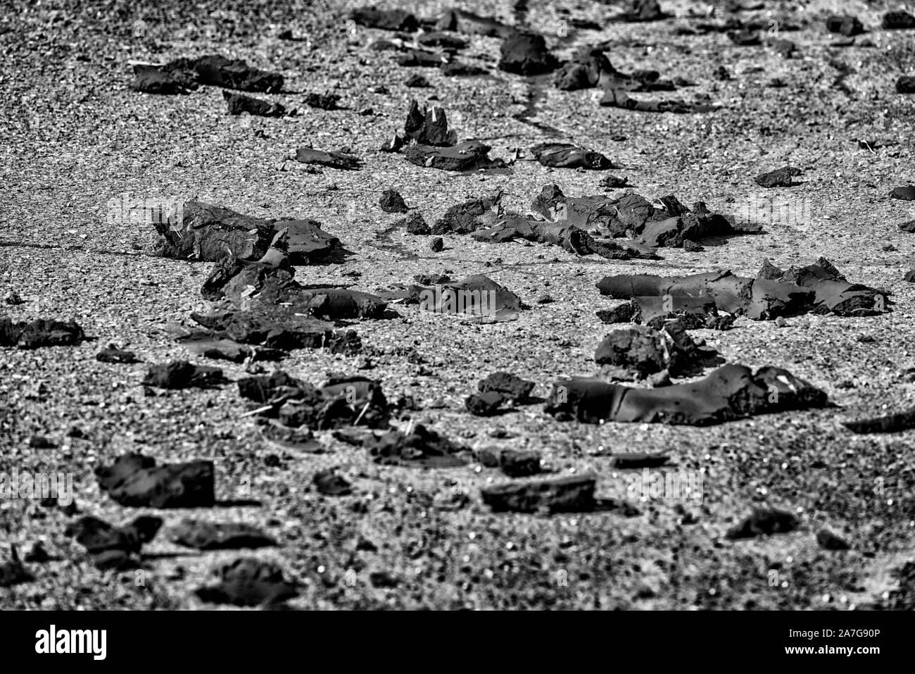 Agriculture mud Black and White Stock Photos & Images - Alamy