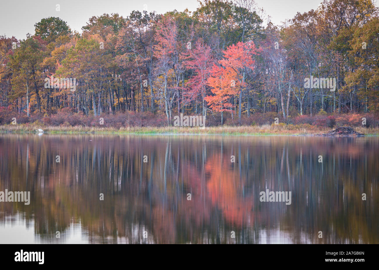 Steenykill lake hi-res stock photography and images - Alamy