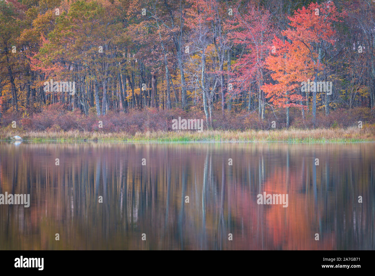 Steenykill lake hi-res stock photography and images - Alamy