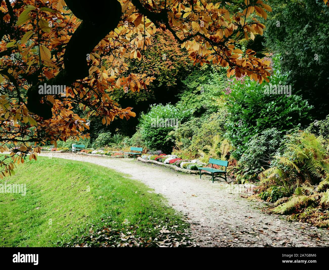 Autumn walk between colorful trees and bushes in all possible colors ...