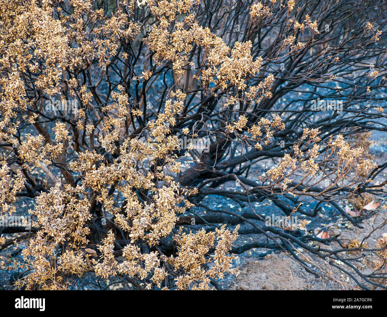 Damange hi-res stock photography and images - Alamy