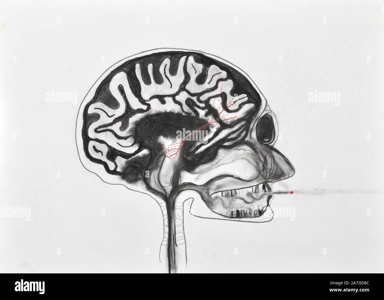 Reward pathways hi-res stock photography and images - Alamy