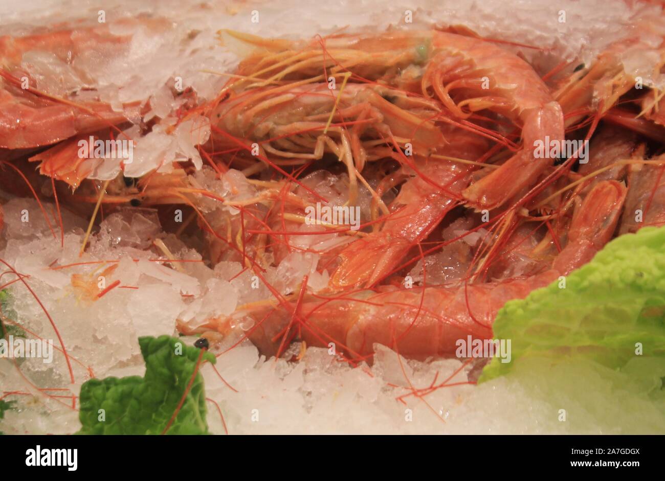 Fresh Italian sea fish with ice background image Stock Photo - Alamy