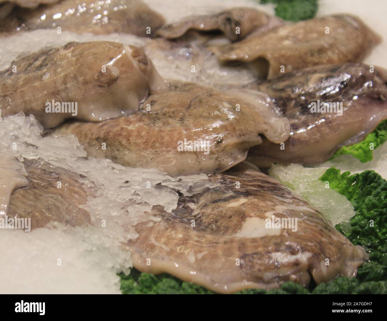 Fresh Italian sea fish with ice background image Stock Photo - Alamy