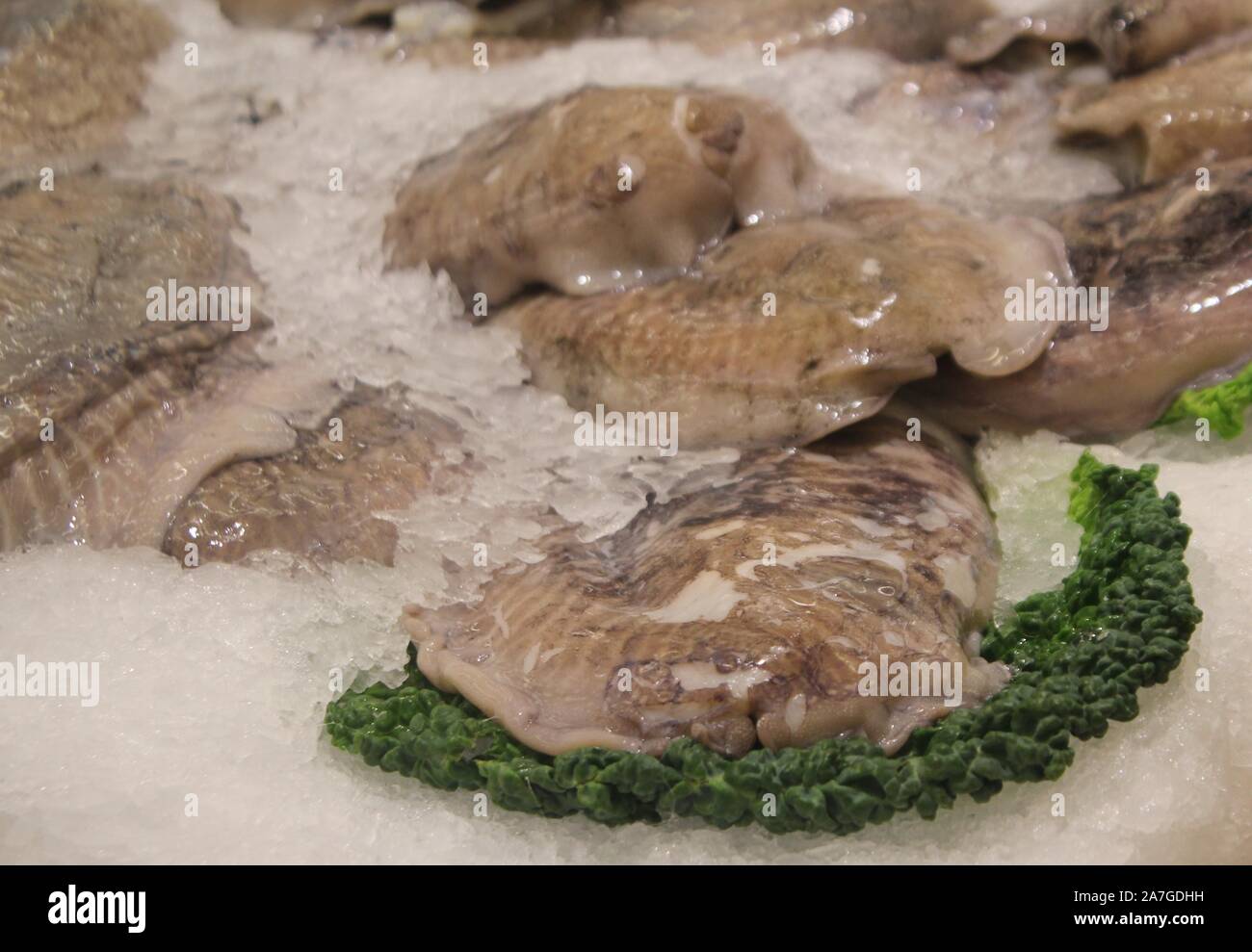Fresh Italian sea fish with ice background image Stock Photo - Alamy