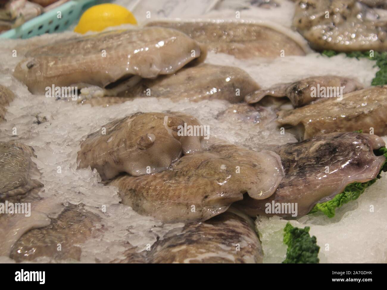 Fresh Italian sea fish with ice background image Stock Photo - Alamy