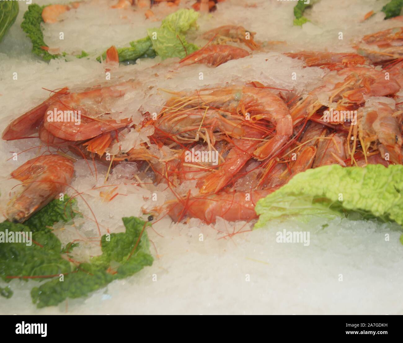 Fresh Italian sea fish with ice background image Stock Photo - Alamy