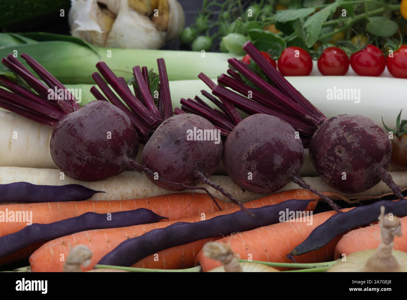 Beetroot on display Stock Photo - Alamy