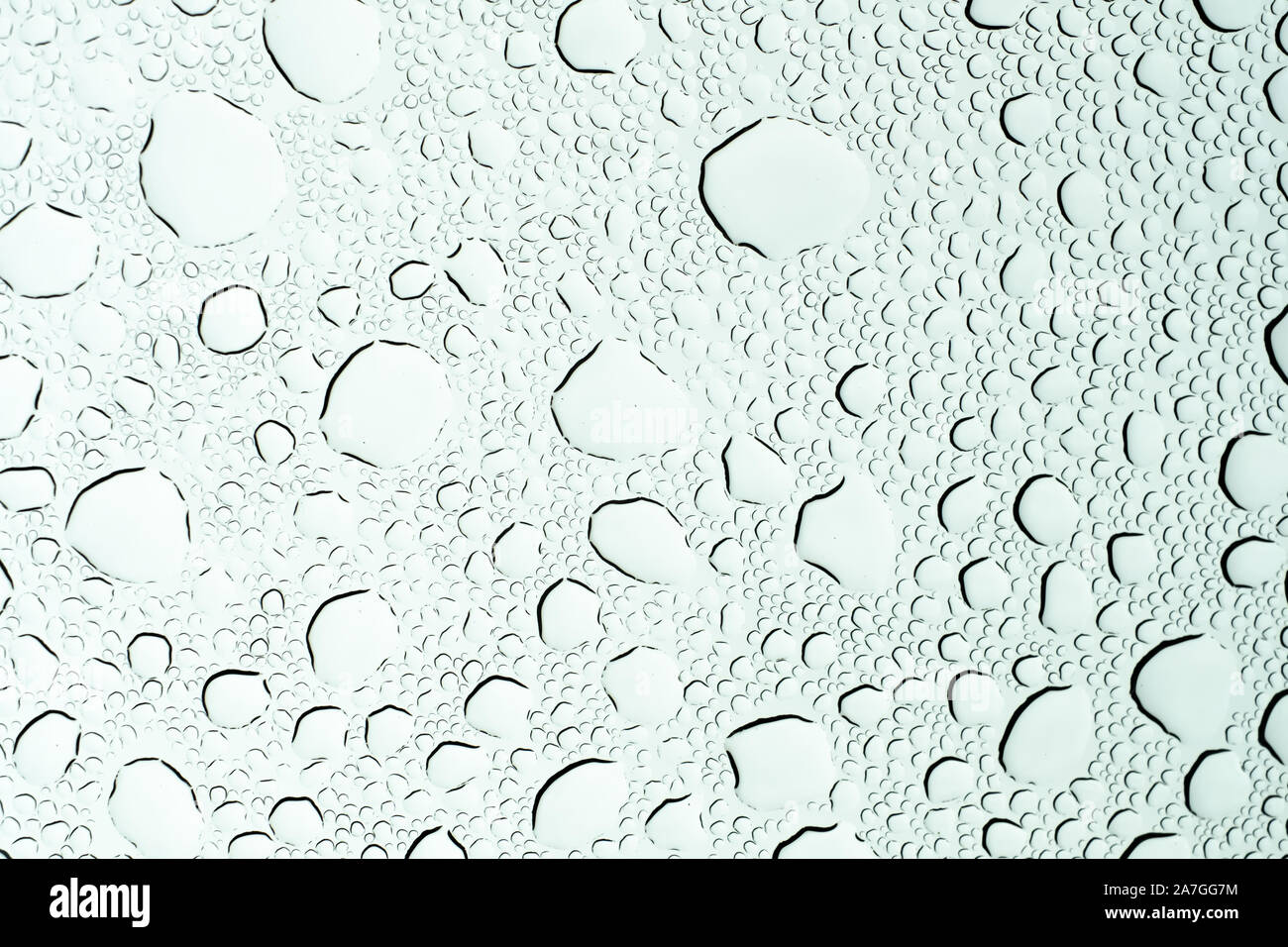 Pure clean water drop on white background. After rain Stock Photo - Alamy