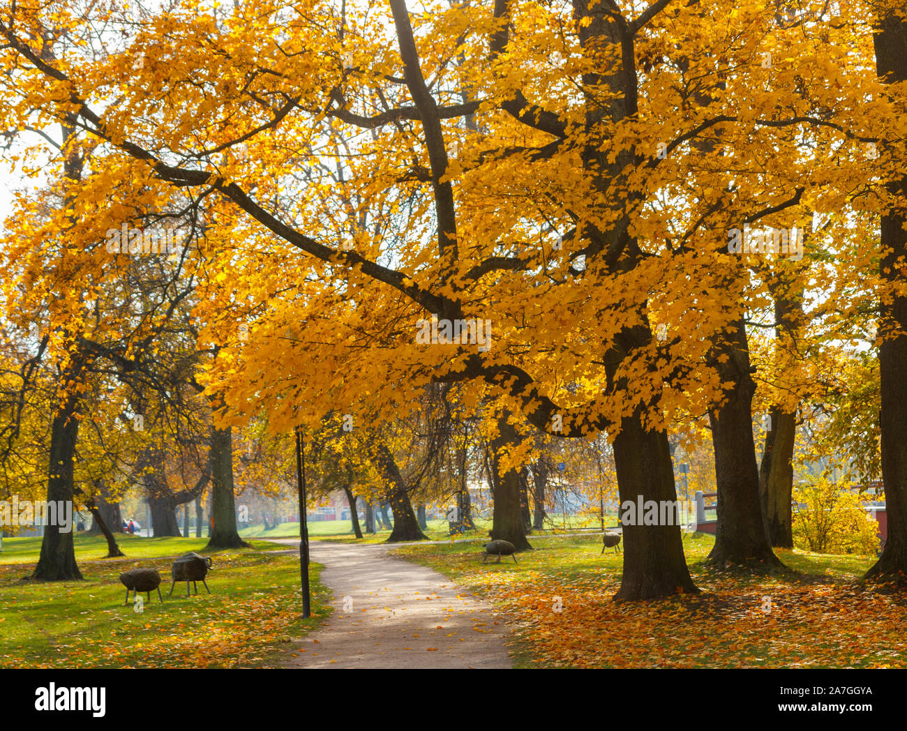 beautiful autumn park Stock Photo - Alamy