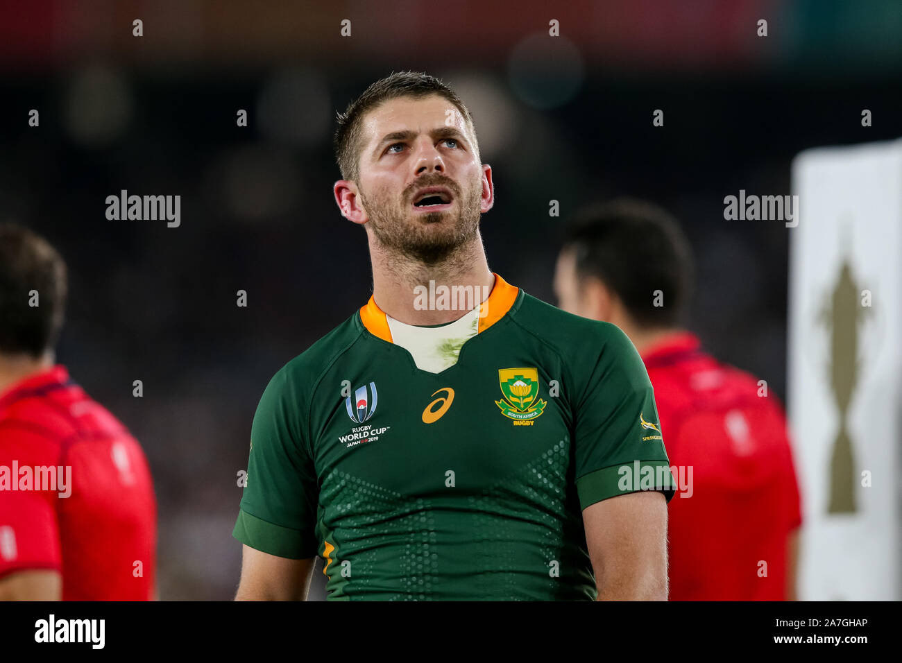 Kanagawa, Japan. 02 Nov 2019. Willie Le Roux of South Africa during the ...
