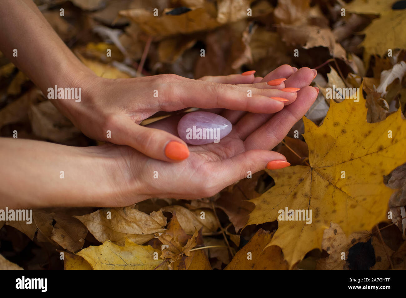 Hand holding rose quartz crystal hi-res stock photography and images ...