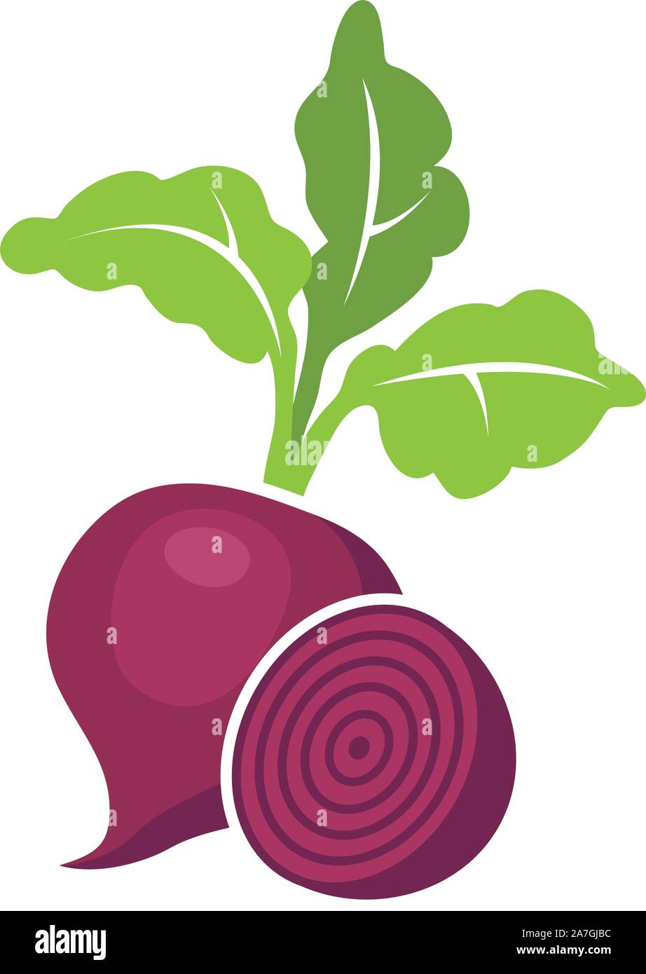 Whole beet root half Stock Vector Images - Alamy