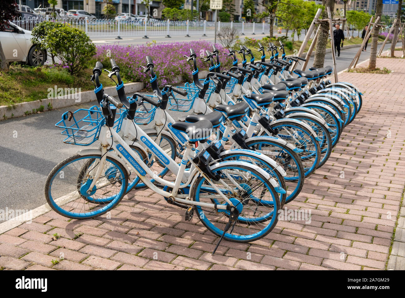 Hello bicycles hi-res stock photography and images - Alamy