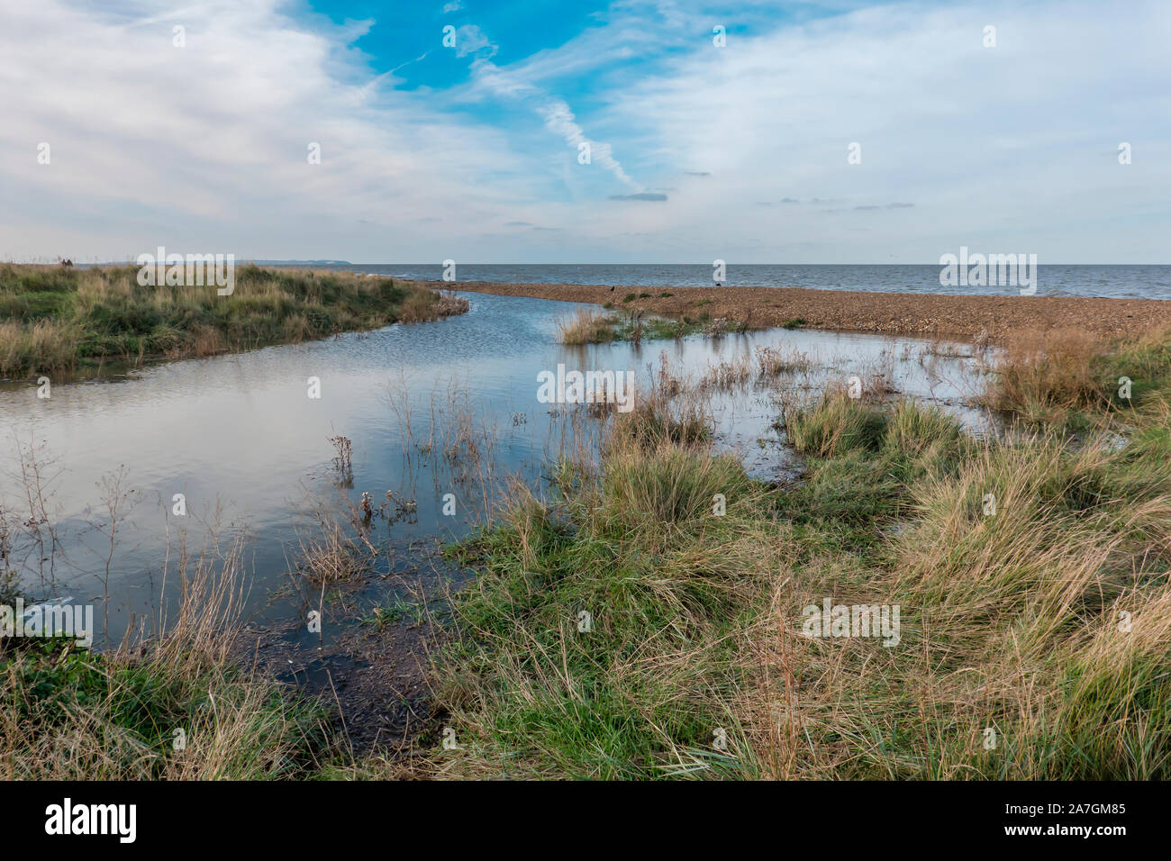 Swalecliffe Brook,Long Rock Nature Reserve,Saxon Shore Way,Coastal Walk ...