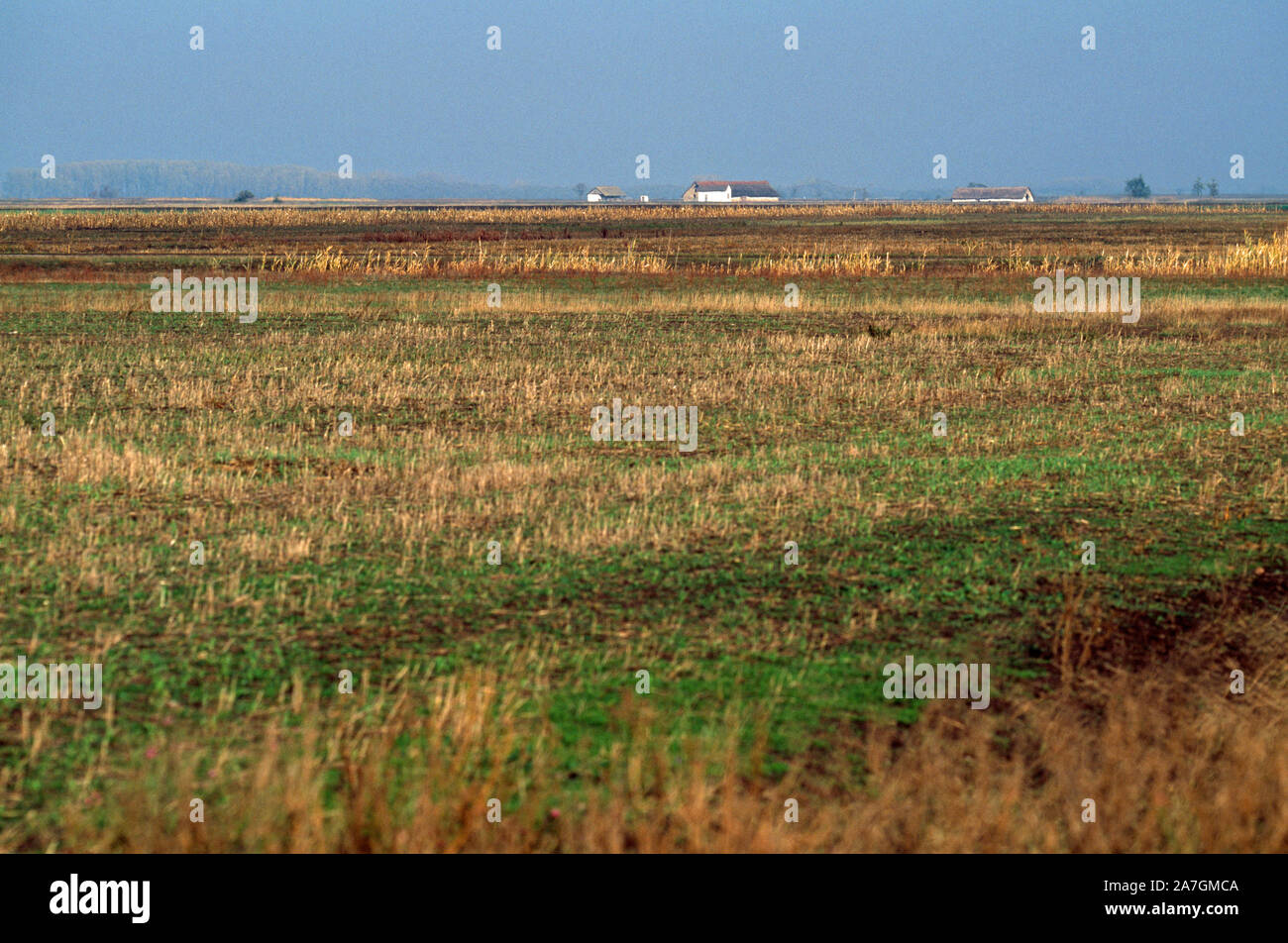 Great hungarian plain hi-res stock photography and images - Alamy