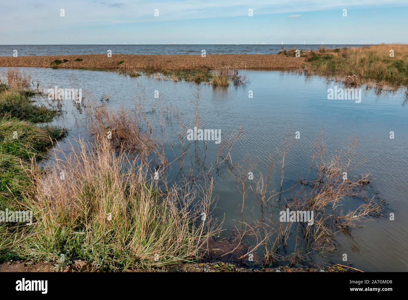 Swalecliffe Brook,Long Rock Nature Reserve,Saxon Shore Way,Coastal Walk ...