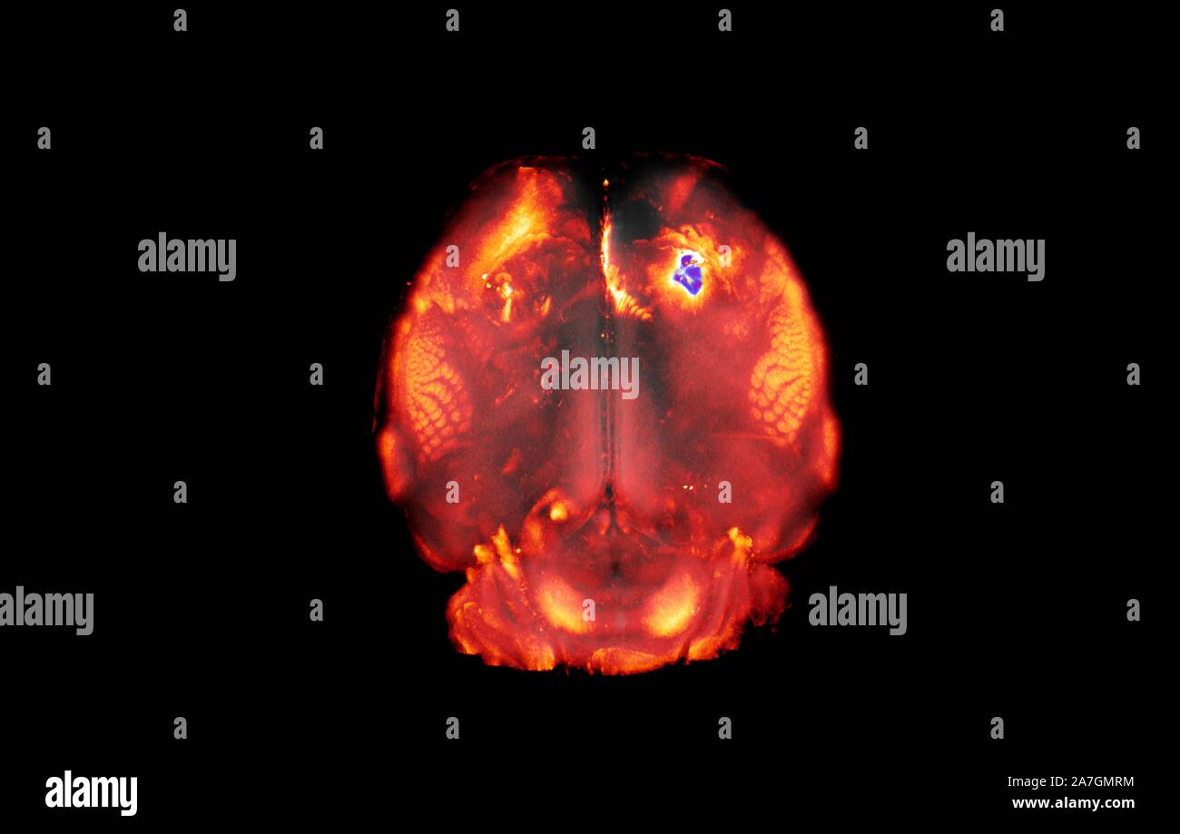 Optically hi-res stock photography and images - Alamy