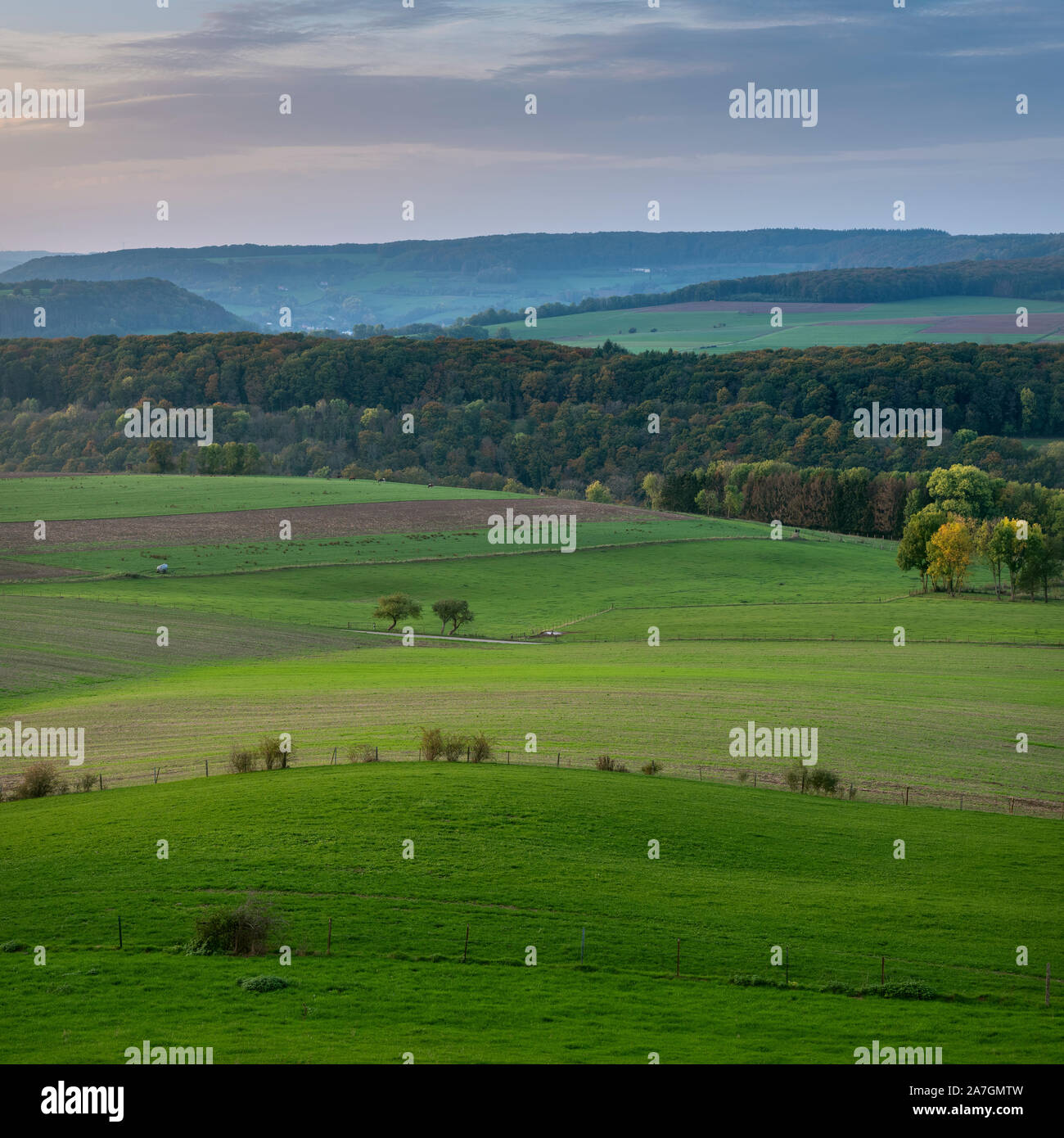 Reisdorf hi-res stock photography and images - Alamy