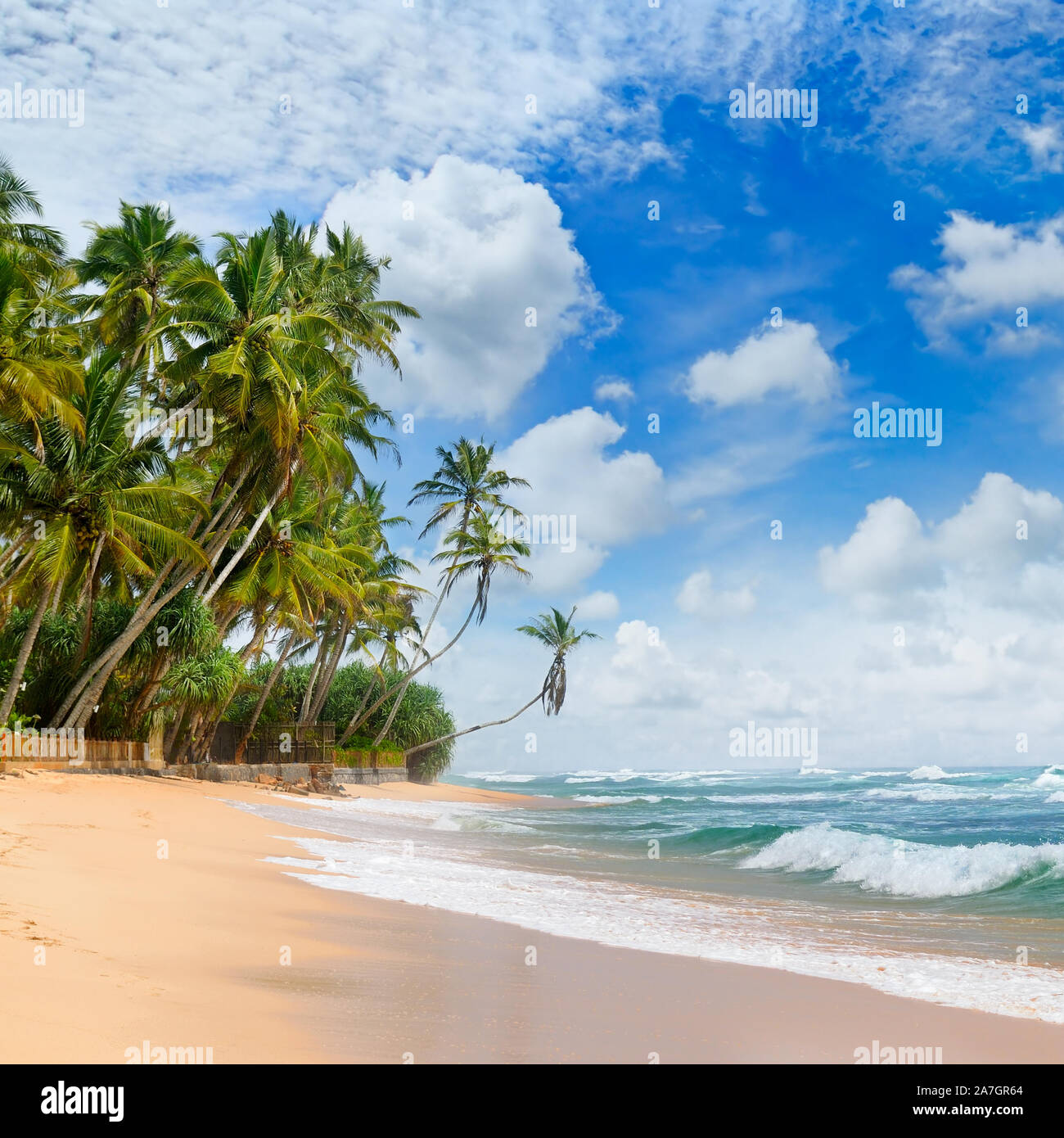 ocean, picturesque beach and blue sky Stock Photo - Alamy