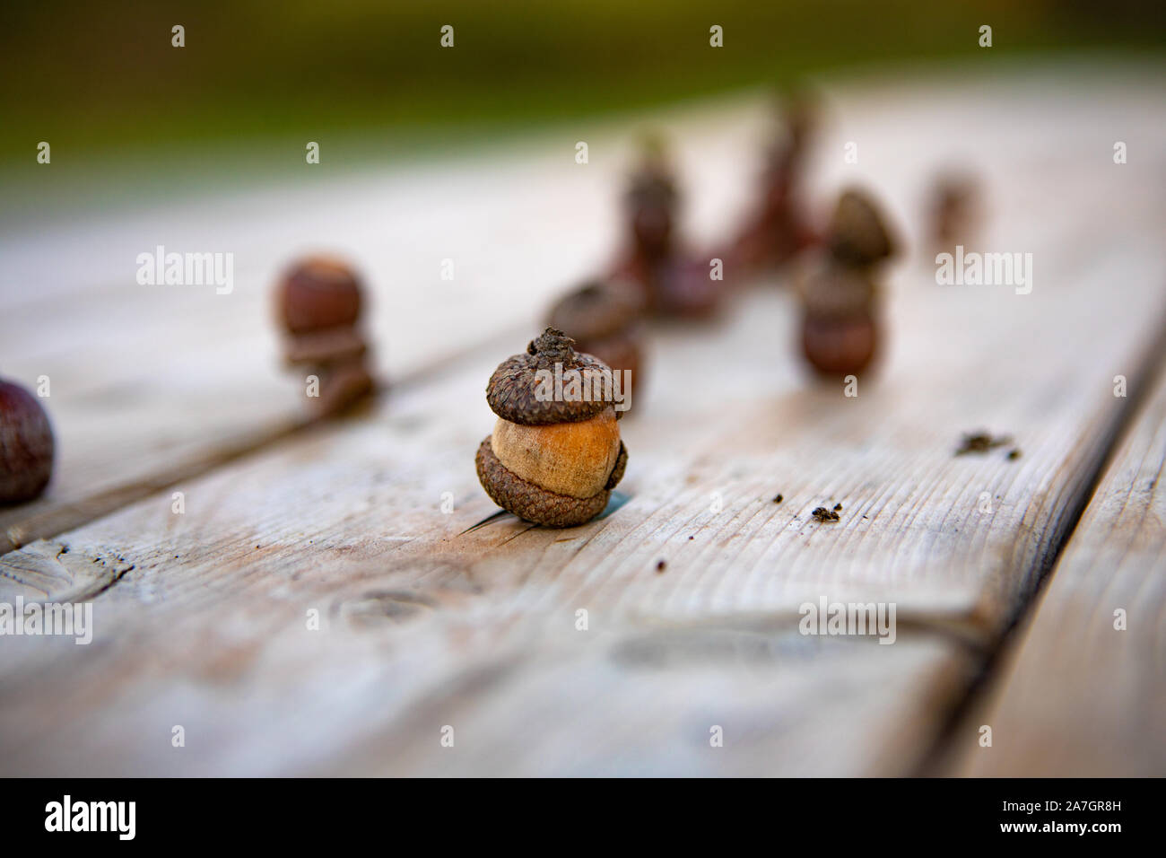 From across table hi-res stock photography and images - Alamy