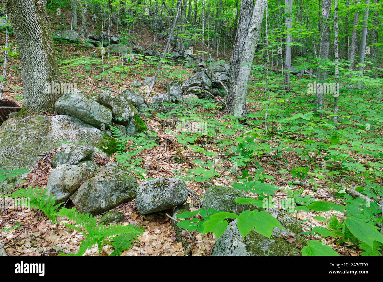 Colonel Lewis B. Smith site in Sandwich Notch in Sandwich, New ...