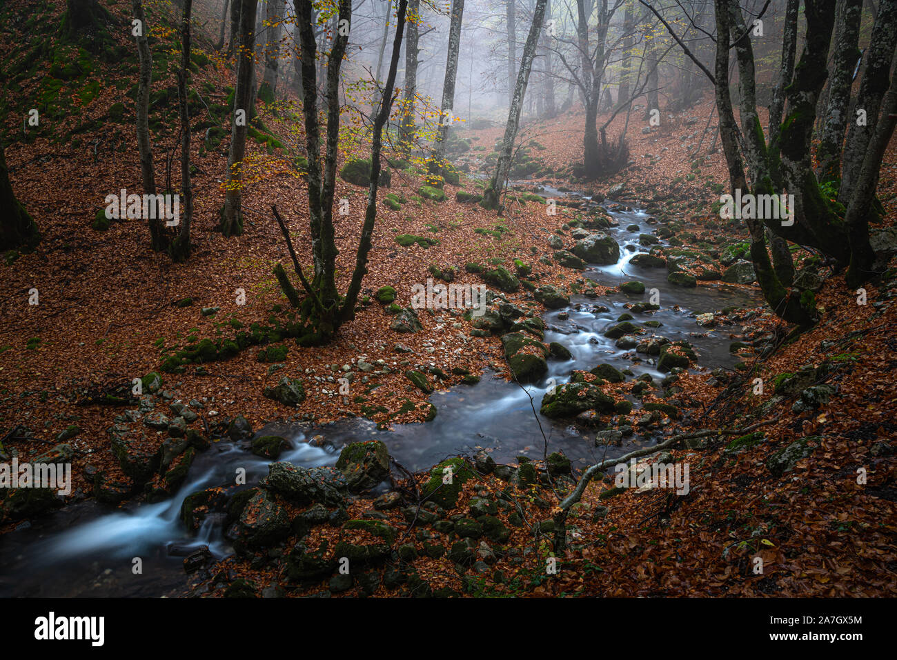National environment day hi-res stock photography and images - Alamy