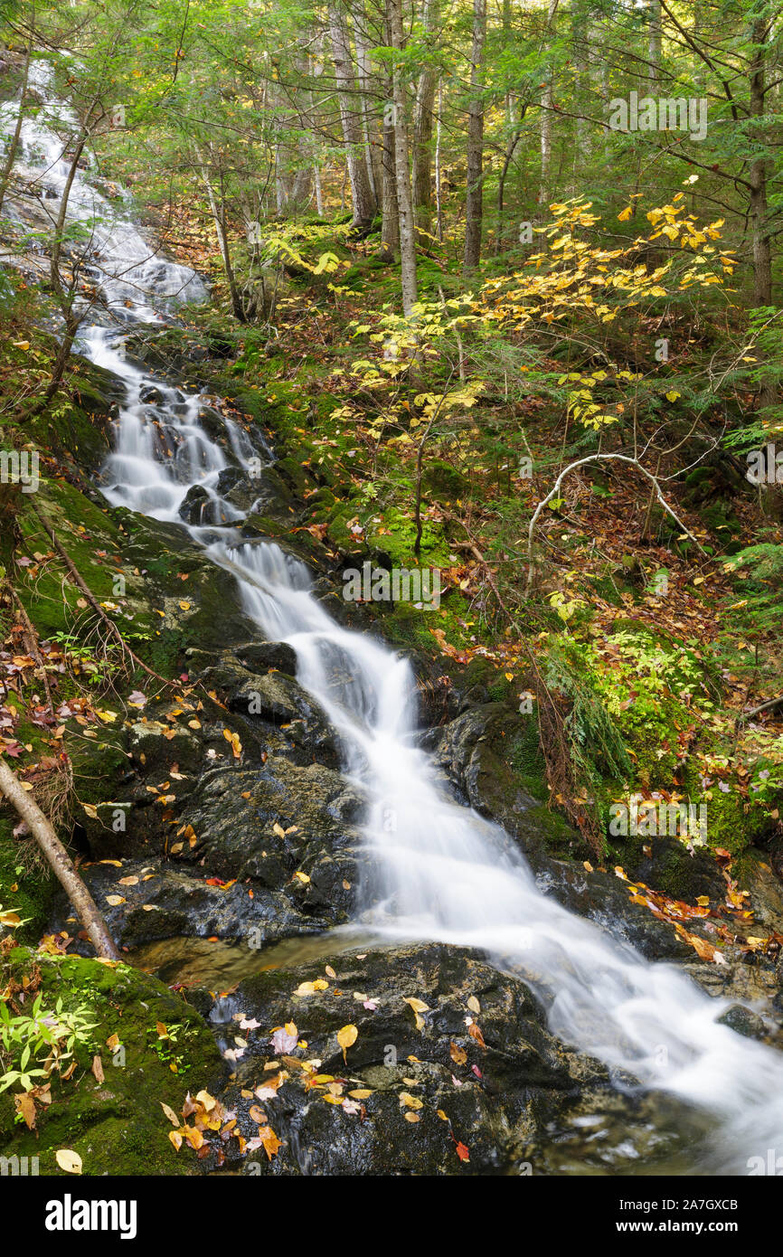 Cascade on a tributary near the headwaters of Lost River on Mount Jim ...