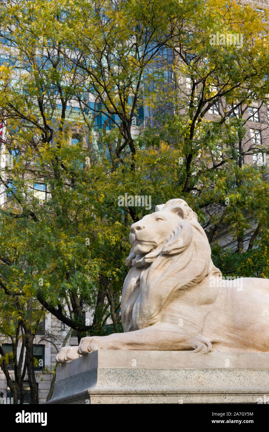 Lion Statue, New York Public Library, Main Branch, NYC, USA Stock Photo ...