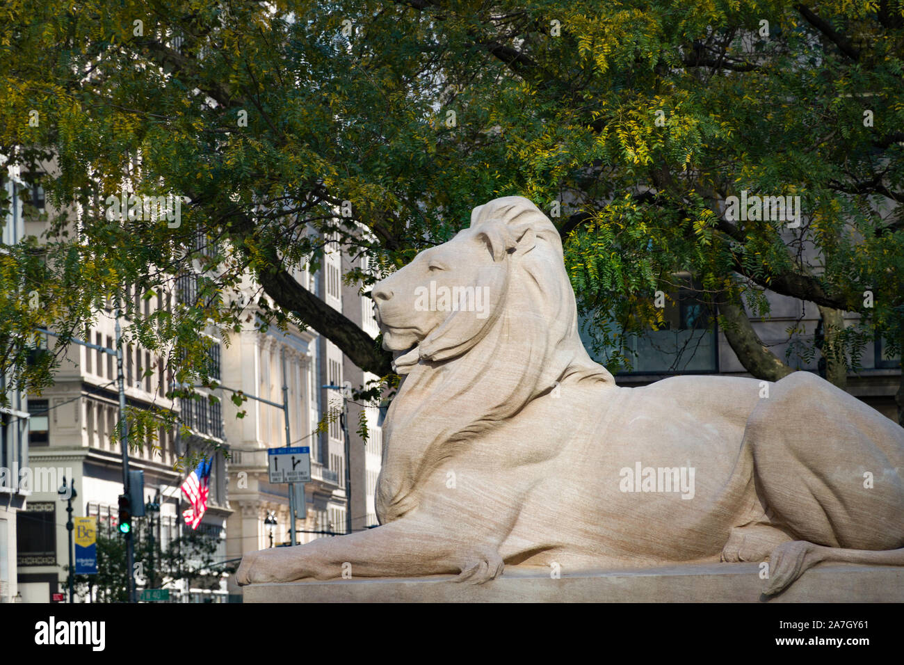 Lion Statues New York Public Library at Louise Rizo blog