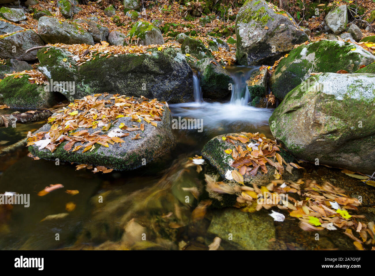 West branch of the mad river hi-res stock photography and images - Alamy