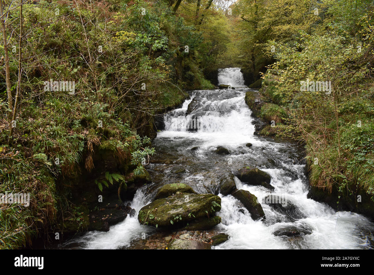 The East Lyn River at Watersmeet, Devon Stock Photo - Alamy