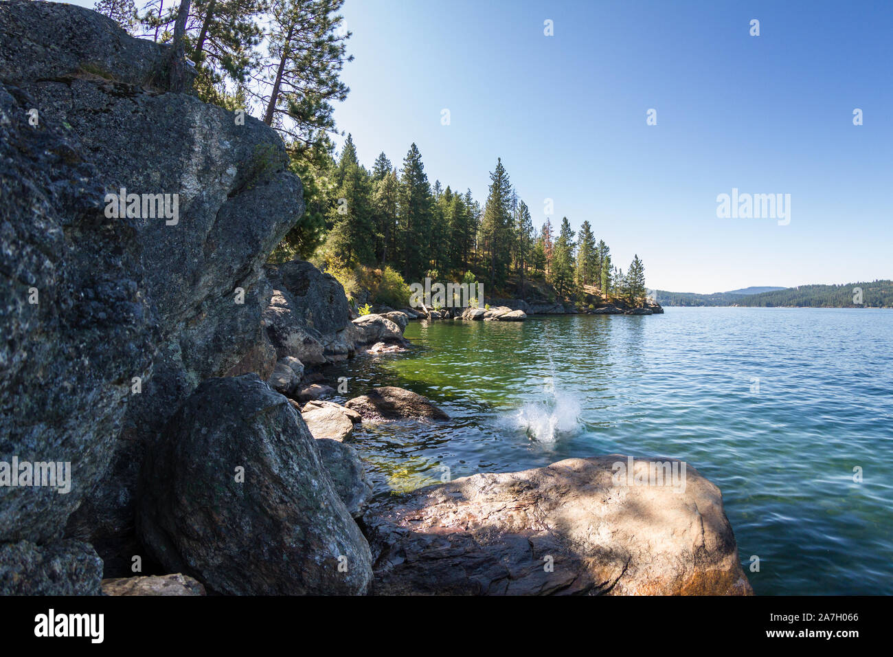 young man jumping of a rocky cliff in Tubs Hill in to Coeur d' Alene ...