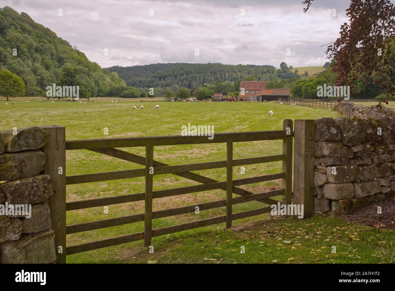 Gate to meadow with rolling hills Stock Photo - Alamy
