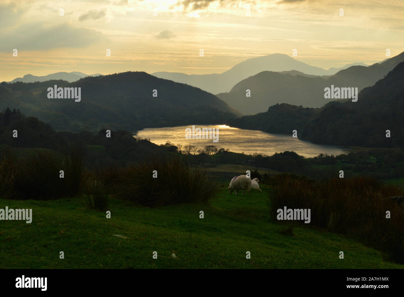 Snowdon, North Wales, UK - October 2019: Autumnal trees and views over ...