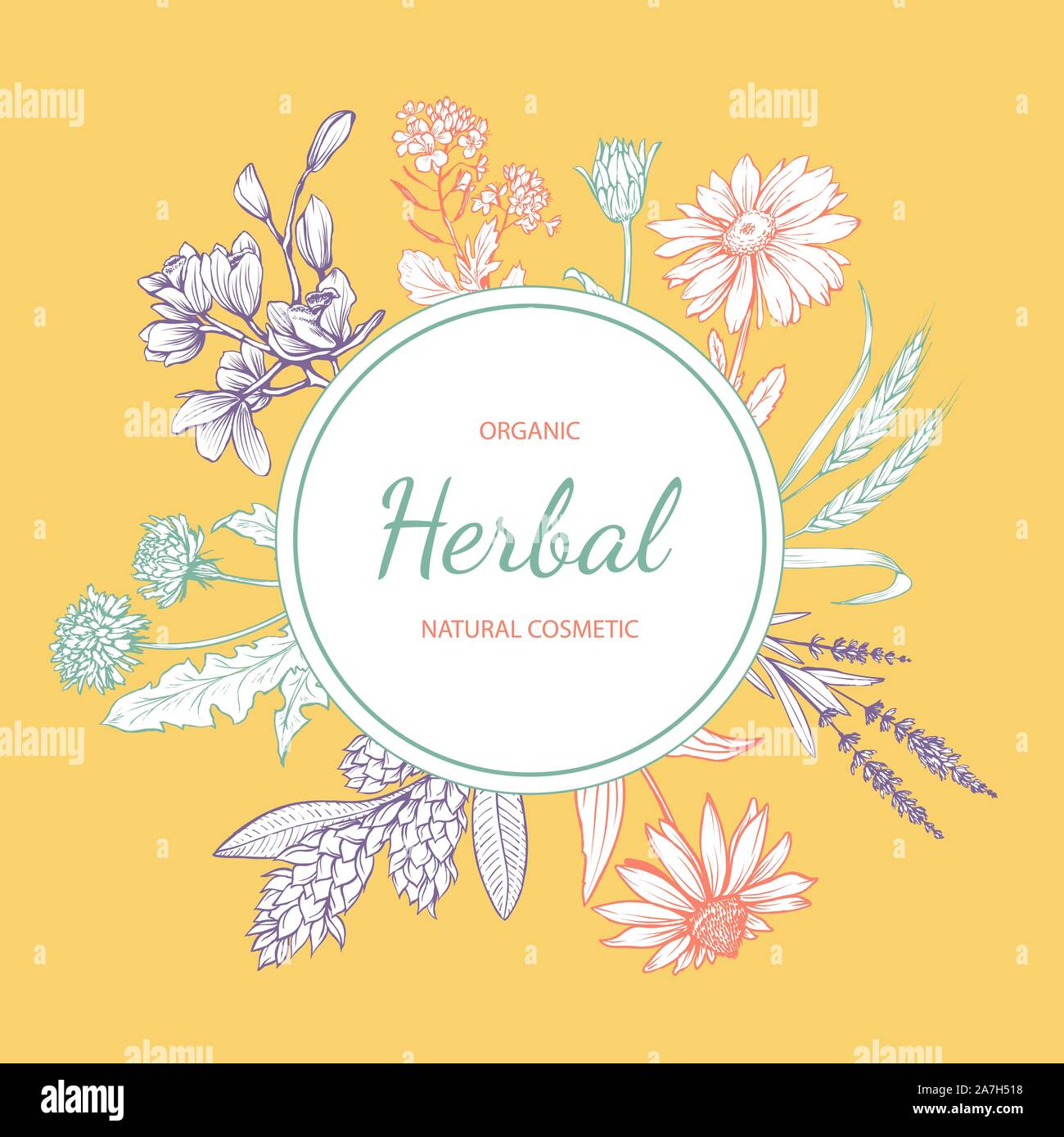 Wildflowers background text Stock Vector Images - Alamy