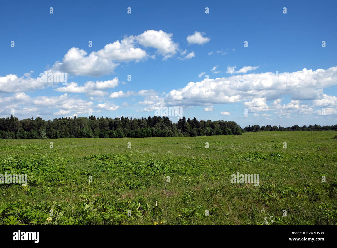 Beautiful countryside landscape hi-res stock photography and images - Alamy