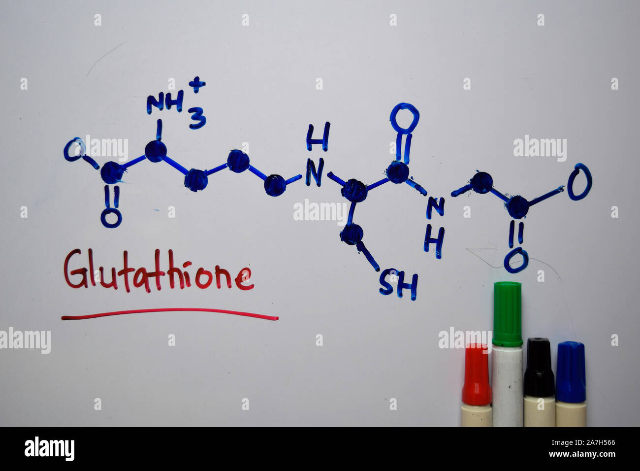 Glutathione. Important in plants and animals molecule write on the ...