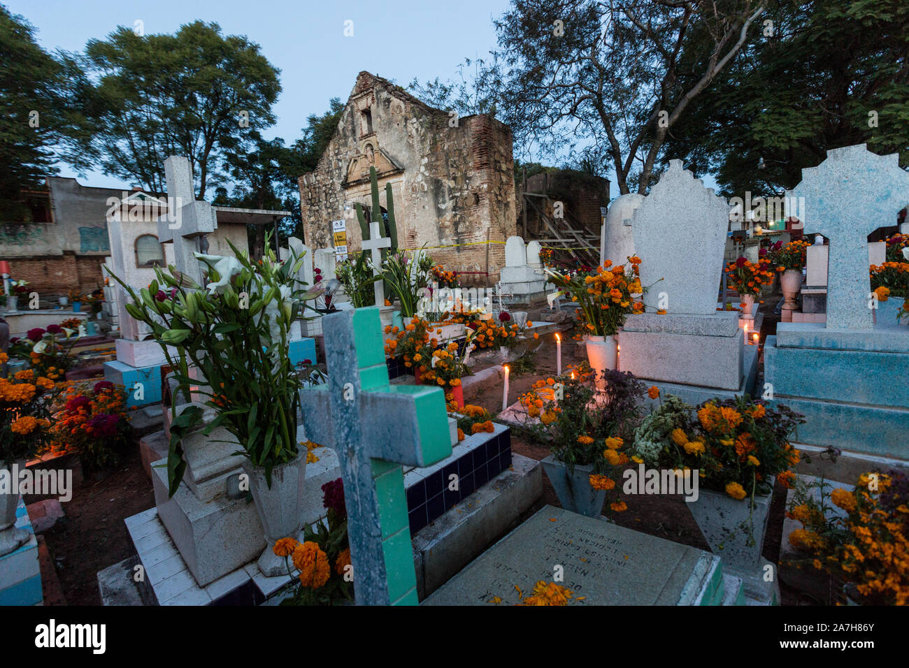 Mexico celebrates day of the dead hi-res stock photography and images ...