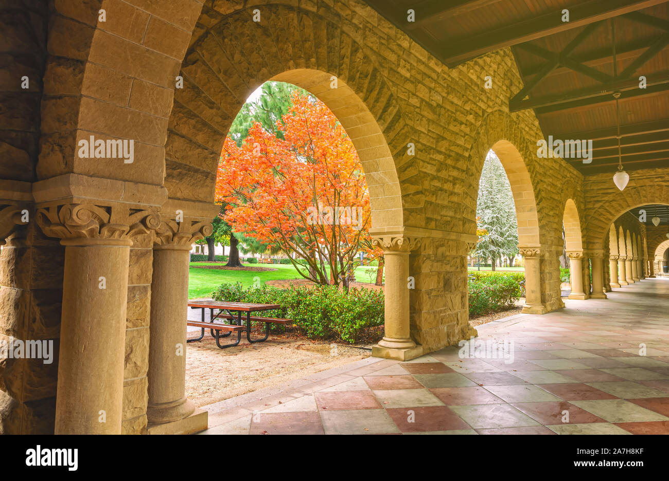 Stanford University campus in autumn, Palo Alto, California, Unites ...