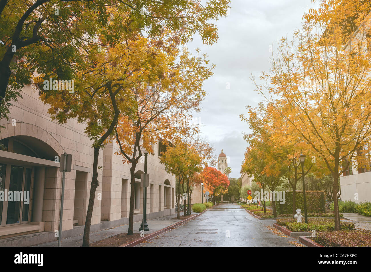 Stanford University campus in autumn, Palo Alto, California, Unites ...