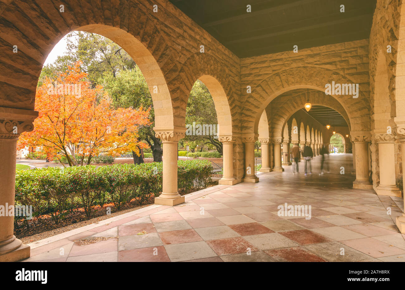 Stanford palo alto hi-res stock photography and images - Alamy