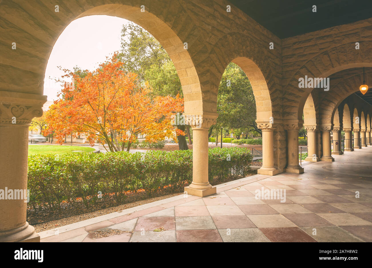 Stanford University campus in autumn, Palo Alto, California, Unites ...