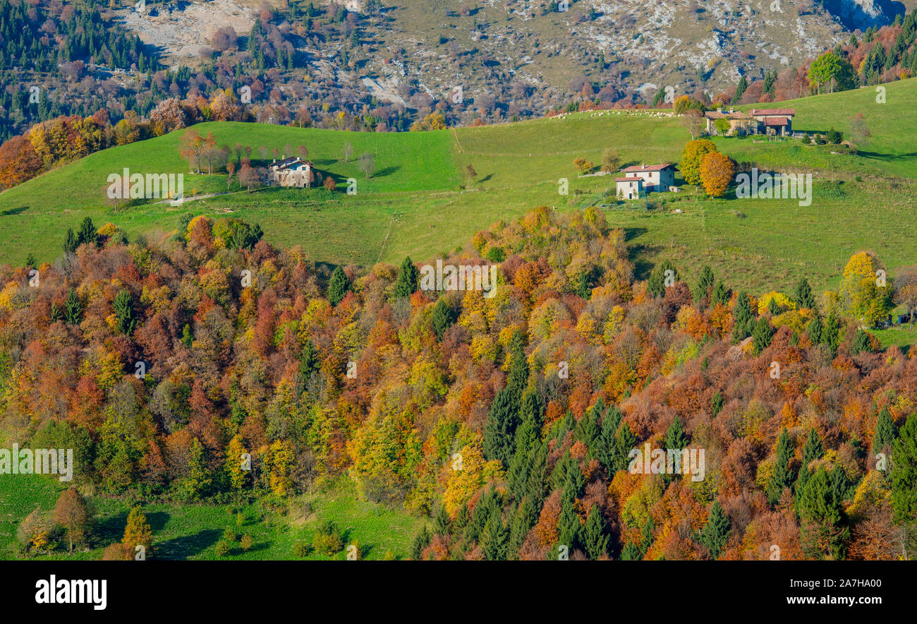 colorful trees at the foot of the hill Stock Photo - Alamy