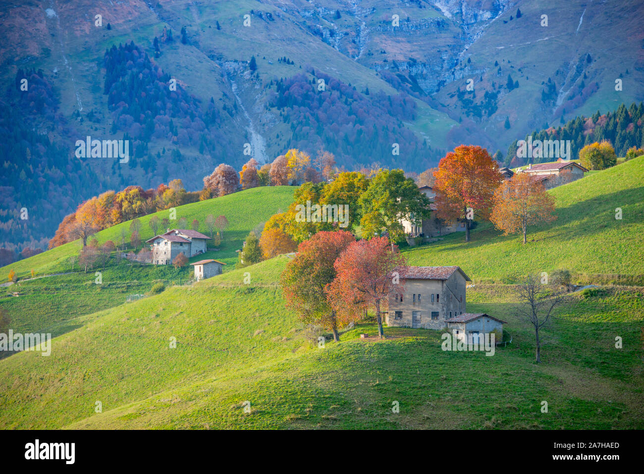 colorful trees at the foot of the hill Stock Photo - Alamy
