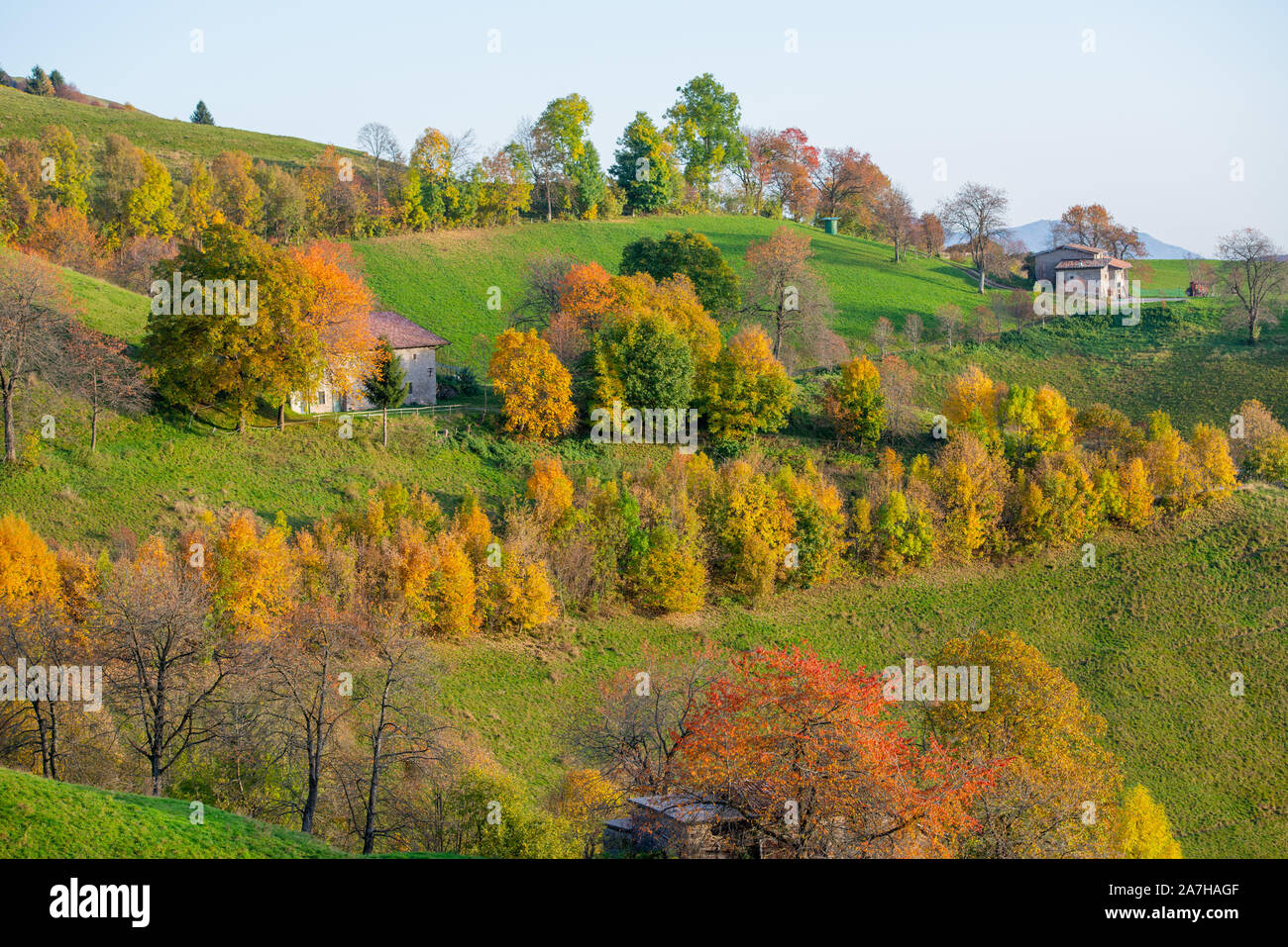 colorful trees at the foot of the hill Stock Photo - Alamy
